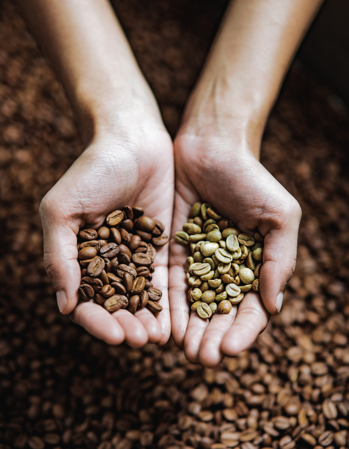 Siolim - Speciality Coffee Brewers l Best cafe in Indore.