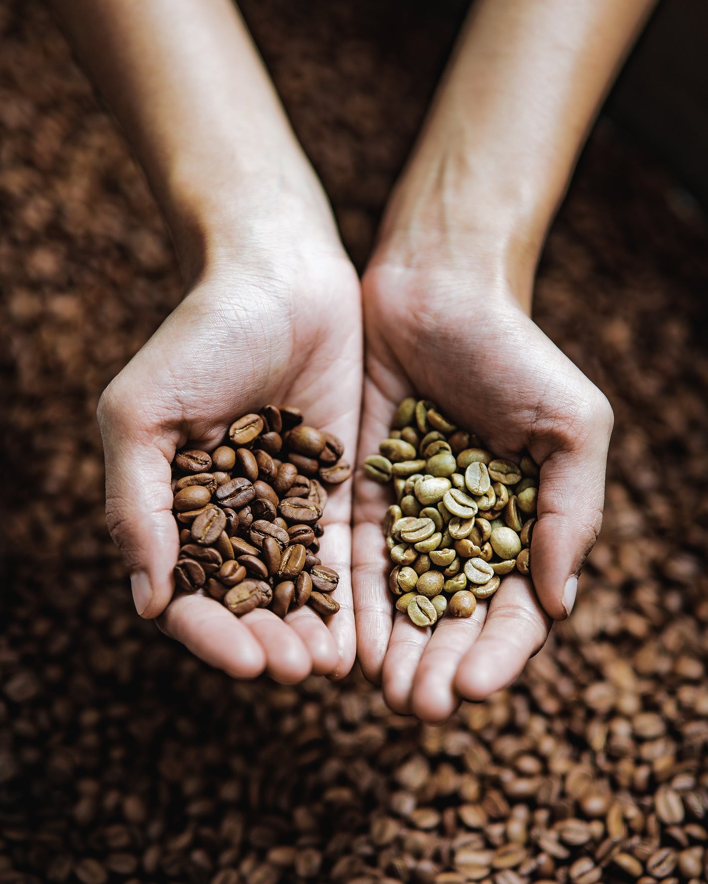 Siolim - Specialty Coffee Roasters