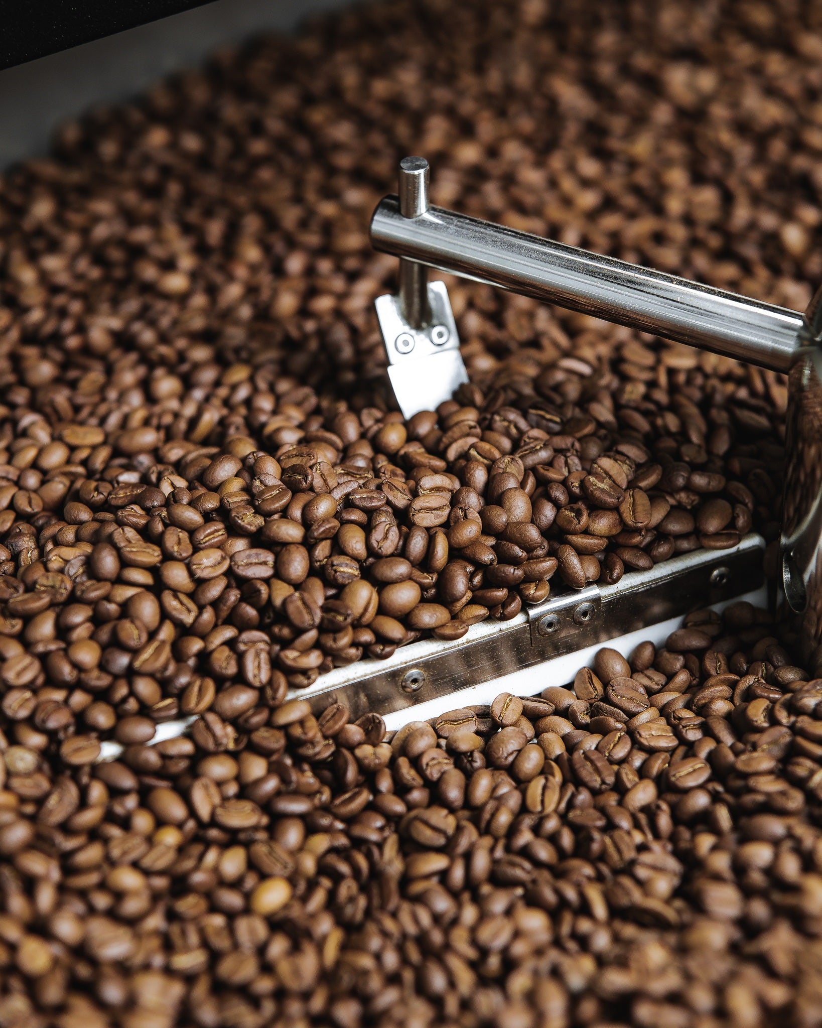 Siolim - Specialty Coffee Roasters