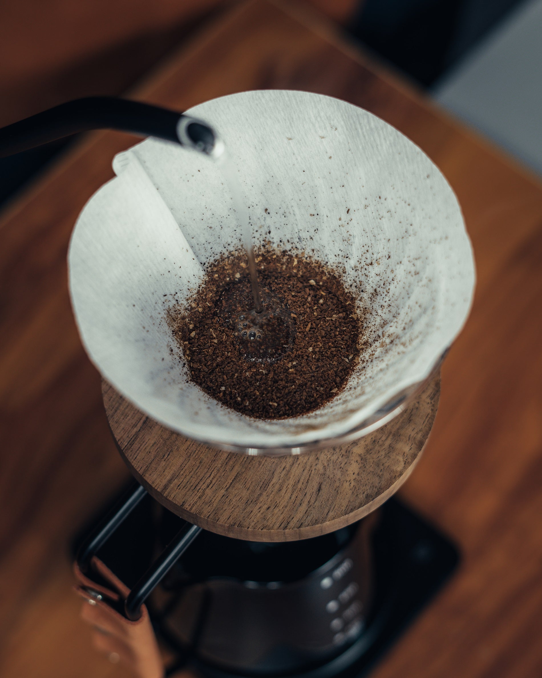 Siolim - Specialty Coffee Roasters